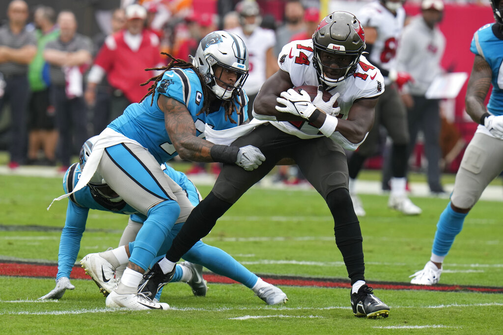 Carolina Panthers Offseason Preview: QB, Coach Among Needs